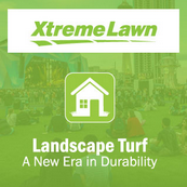 Xtreme Turf – sunglobalsports.com
